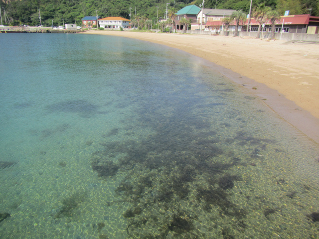【2019年】兵庫県の綺麗な海「立ノ浜海水浴場」情報！水質や営業時間は？ 日本の綺麗なビーチ達