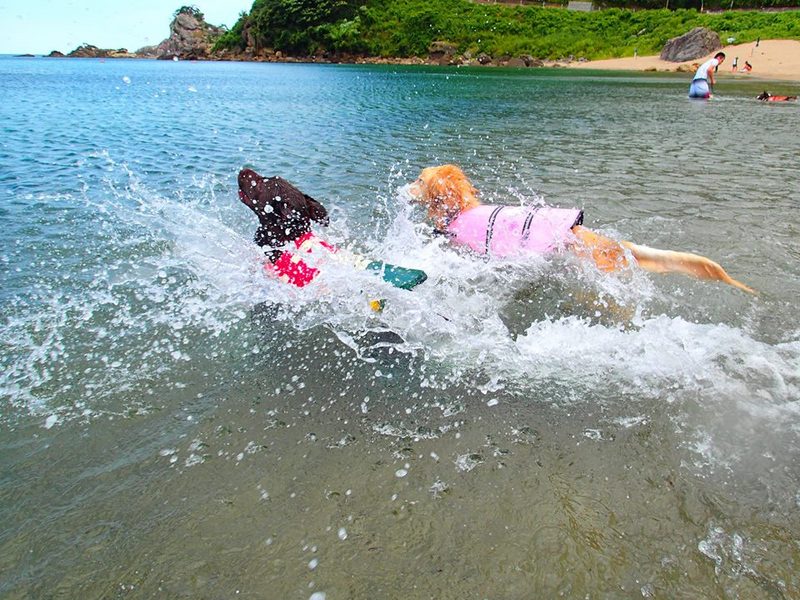 【2019年】兵庫県の綺麗な海「青井浜ワンワンビーチ」情報！水質や営業時間は？ 日本の綺麗なビーチ達