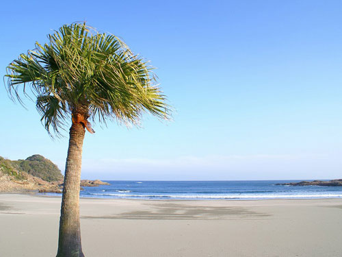【2019年】宮崎県の綺麗な海「伊勢ケ浜海水浴場」情報！水質や営業時間は？ 日本の綺麗なビーチ達